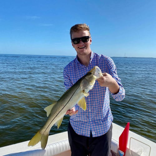 Yellow Tales Fishing Charters in Bokeelia, Florida: Captain Experiences
