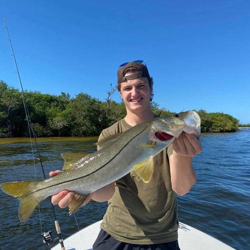 Yellow Tales Fishing Charters in Bokeelia, Florida: Captain Experiences