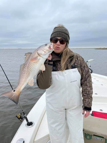 Fishaholic Fishing Charters in Delacroix, Louisiana: Captain Experiences