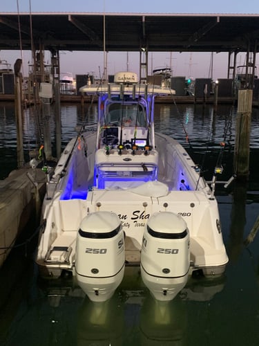 Galveston Fish Commander with Captain Experiences