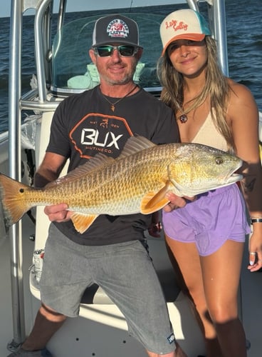 Galveston Fish Commander with Captain Experiences