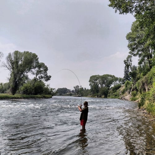 Montana Fly Fishing Guides in Sheridan, Montana: Captain Experiences