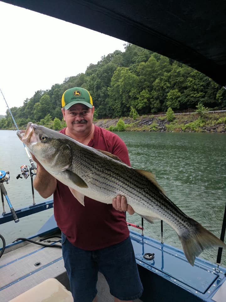 TN Striper & Catfish Trip In Greenback