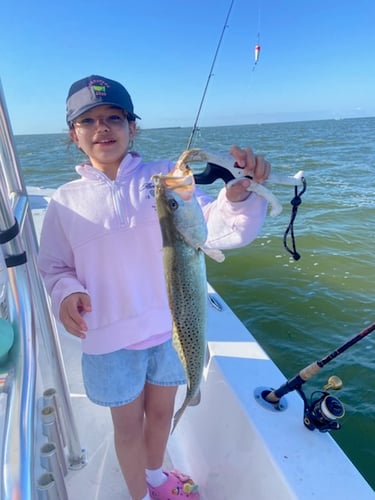 Marathon Fishing Reports (April 2025)