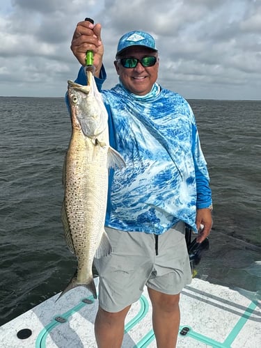 Packery Channel Fishing Reports (July 2025)