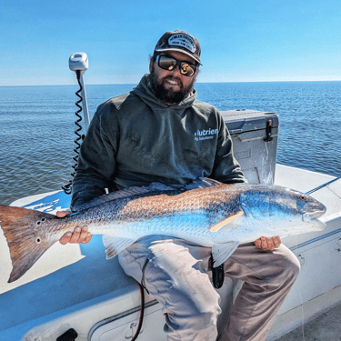 Sight Fishing For NC Redfish In Washington