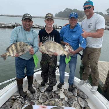 Sheepshead Special (Dauphin Island) In Gulf Shores