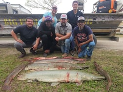 Lake Houston Fishing Reports (July 2025)