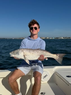 Vilano Beach Fishing Reports (June 2026)
