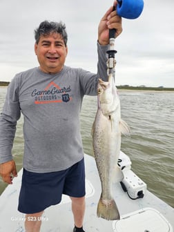 Port O'Connor Jetty Fishing Reports (June 2026)