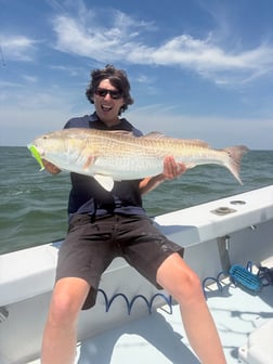 Oregon Inlet Fishing Reports (June 2026)