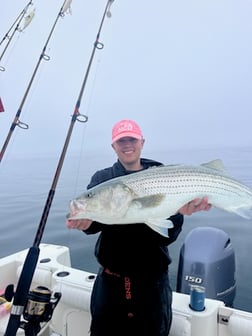 Buzzards Bay Fishing Reports (June 2026)