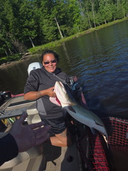 Wisconsin River Fishing Reports (June 2026)