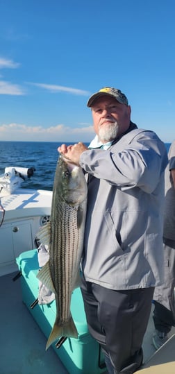Long Island Sound Fishing Reports (June 2026)