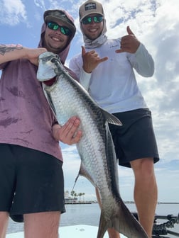 Pickles Reef Fishing Reports (June 2026)