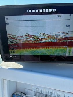 Long Island Sound Fishing Reports (June 2026)