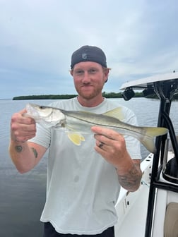 Dunedin (FL) Fishing Reports (June 2026)