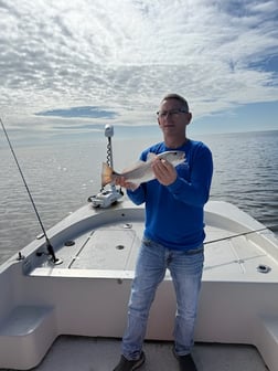 Lake Panasoffkee Fishing Reports (January 2026)