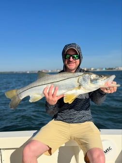 Vilano Beach Fishing Reports (June 2026)