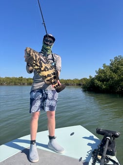 Pickles Reef Fishing Reports (June 2026)