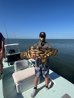 Pickles Reef Fishing Reports (June 2026)