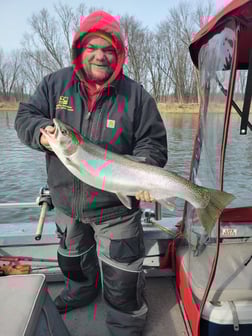 Manistee River Fishing Reports (October 2025)