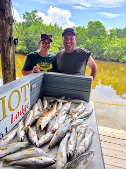 Shell Beach (LA) Fishing Reports (July 2026)