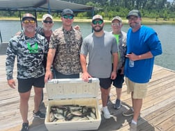 Lake Sam Rayburn Fishing Reports (June 2026)
