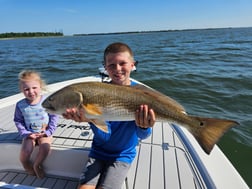 Folly Beach Fishing Reports (June 2026)