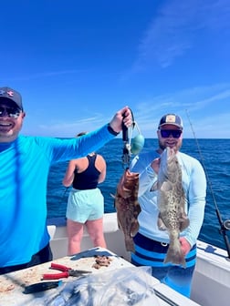 Dunedin (FL) Fishing Reports (June 2026)