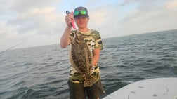Packery Channel Fishing Reports (June 2026)