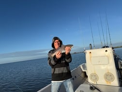 Lake Panasoffkee Fishing Reports (January 2026)