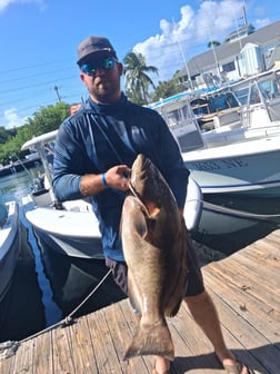 Snipe Keys Fishing Reports (June 2026)