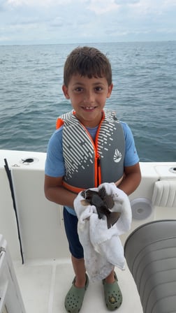 Carolina Beach Inlet Fishing Reports (June 2026)