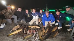 Bull Shoals Lake Fishing Reports (June 2026)