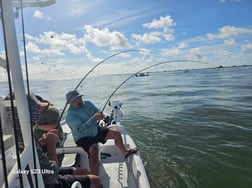 Port O'Connor Jetty Fishing Reports (June 2026)