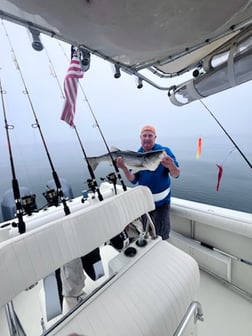 Buzzards Bay Fishing Reports (June 2026)