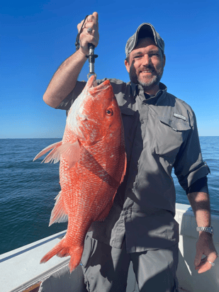 Snapper Species: What’s The Difference?