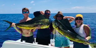 Key West Fish Species: Best Fish To Catch
