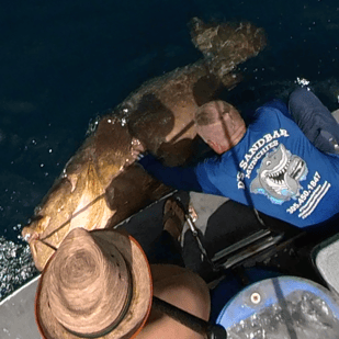 The Top 10 Freshwater Fishing Spots In Miami