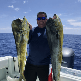 Key West Fish Species: Best Fish To Catch