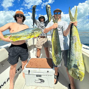 Bonito Vs Skipjack Tuna Vs Little Tunny: What’s The Difference?