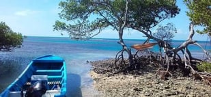 Bucket List Trips - Captain Experiences