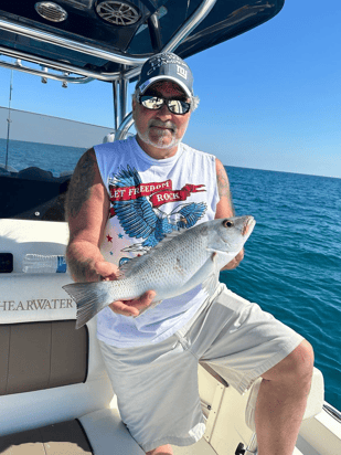 The 8 Best Fishing Spots In Miami