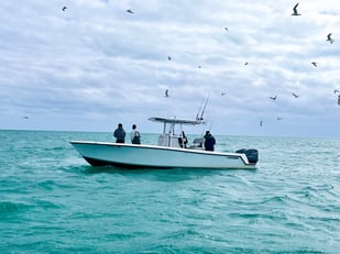 The 8 Best Fishing Spots In Miami