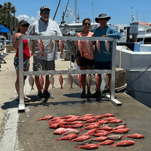 Snapper Species: What’s The Difference?