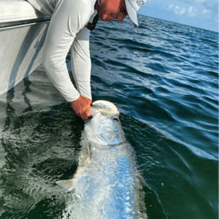 10 Best Tarpon Fishing Spots In Florida