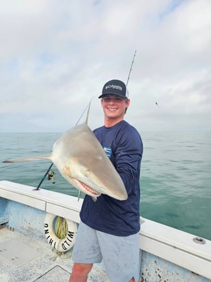 Marco Island Fishing: The Angler's Guide (Updated 2024)