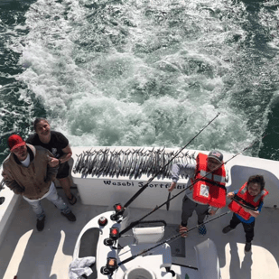 Bonito Vs Skipjack Tuna Vs Little Tunny: What’s The Difference?