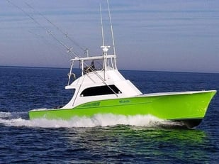 Bonito Vs Skipjack Tuna Vs Little Tunny: What’s The Difference?